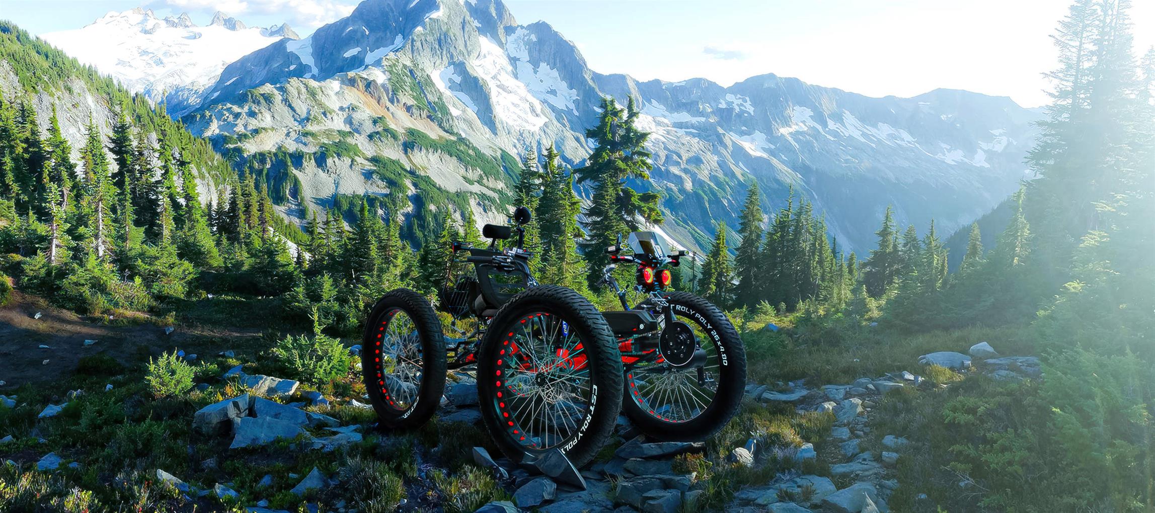 Adaptive and Recumbent Bikes, Trikes, and Quads – Adaptive Bikes